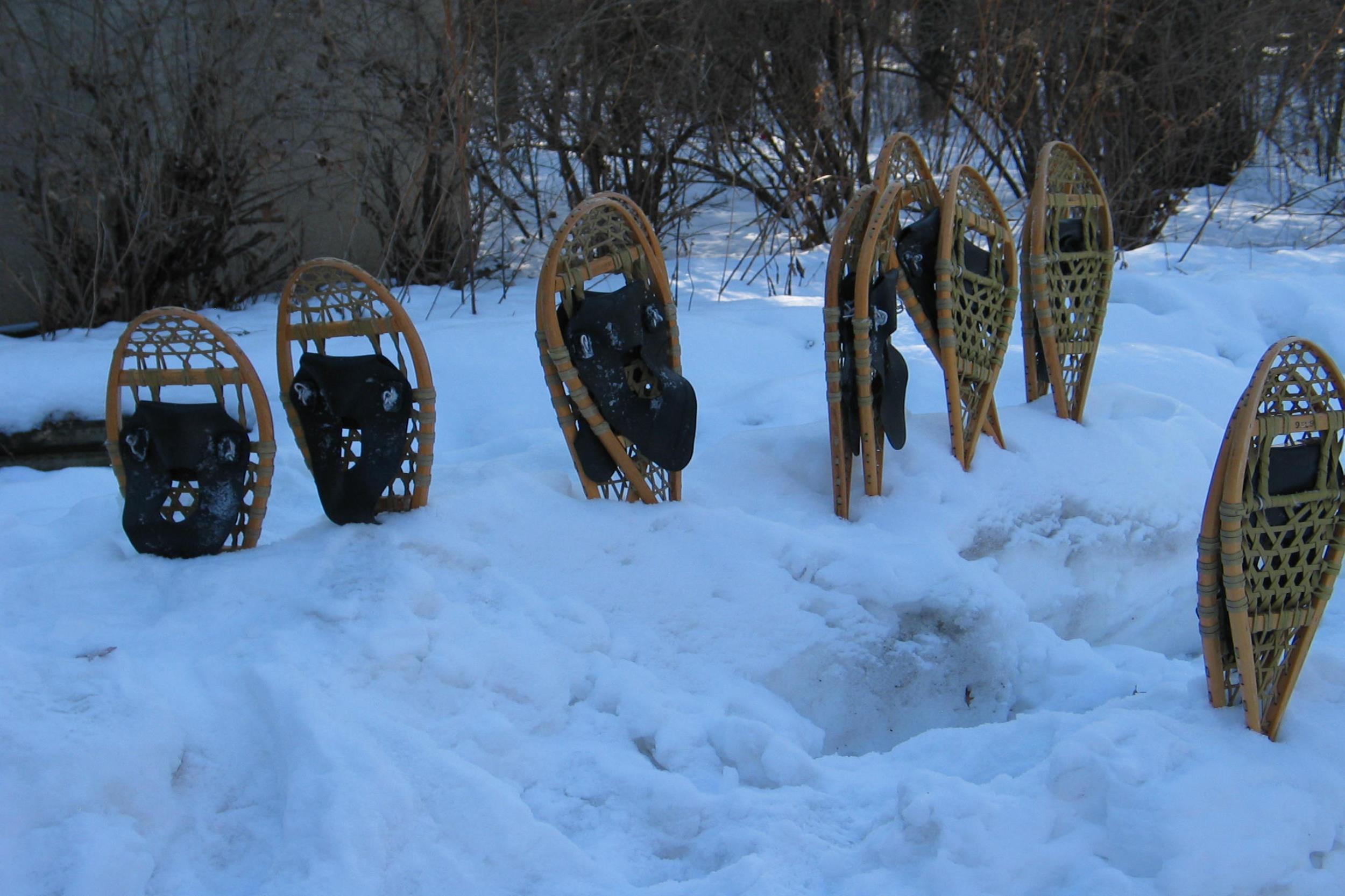 Springbrook Nature Center Image Gallery - City of Fridley